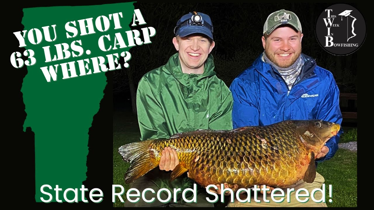 Bullheads 101 – This Week In Bowfishing